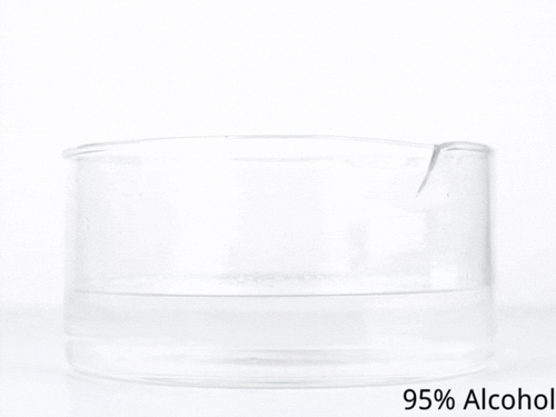 Siraya Tech Fibreheart Rebound PEBA 95A Elastic filamentent for 3d printing